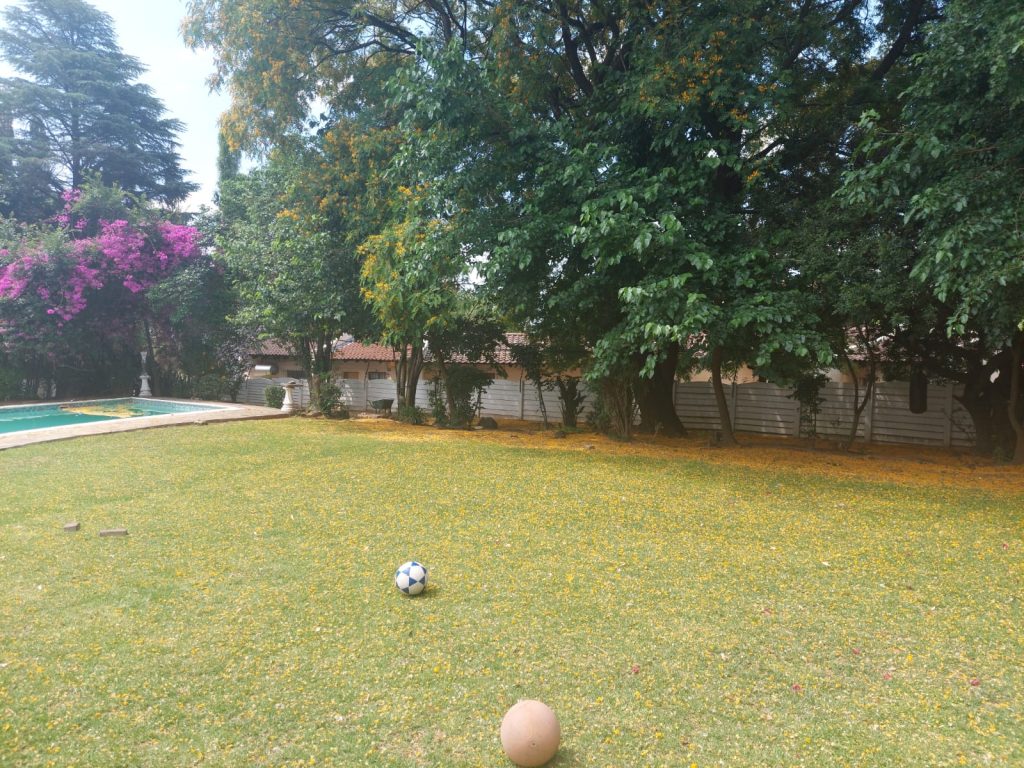 Gallery - ARCA Jhb